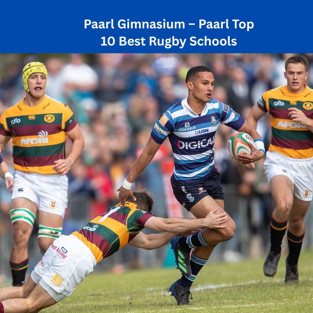 Top 10 Best Rugby Schools in South Africa 2026 - School Hive